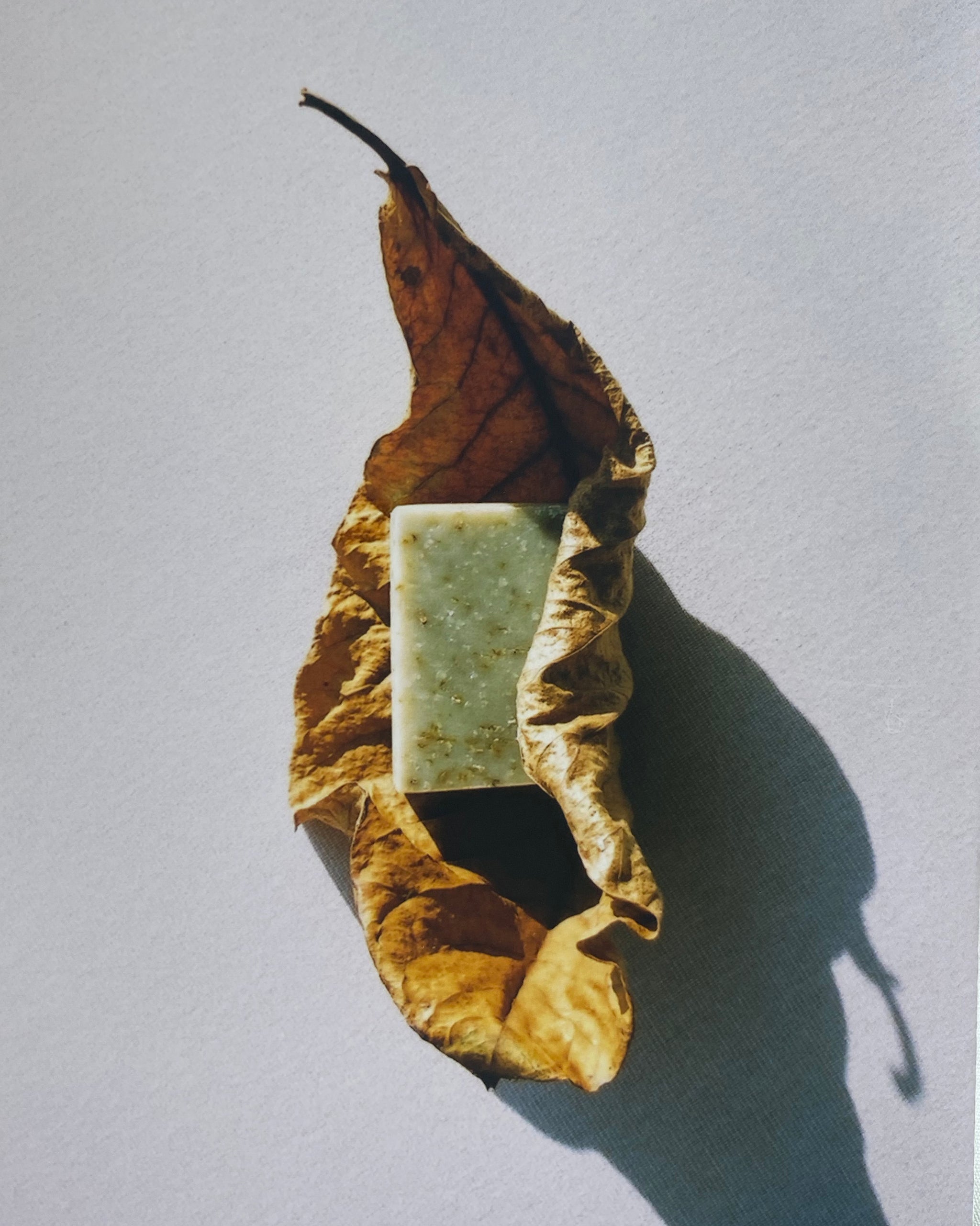 Le Botaniste- St. John’s Wort, Comfrey Leaf and Calendula Flowers ...